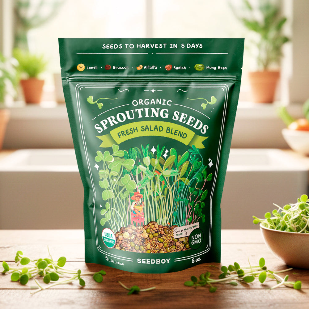 The Hidden Side of Sprouting: Why Some Seeds Thrive in Darkness First ...